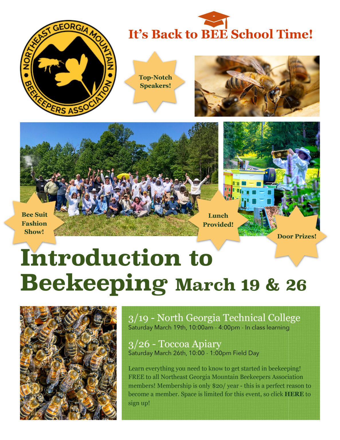 March 19th & 26th – Introduction to Beekeeping – Northeast Georgia ...